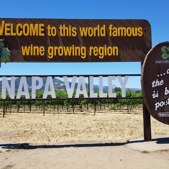 하나투어 샌프란시스코 출발 나파밸리 와이너리 투어 한국어 가이드 샌프란시스코 미국 현지이색체험